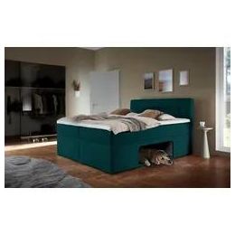 Boxbett Home Affaire "Carolin", blau (nachtblau meliert), B:142cm L:210cm, Komplettbetten, mit Nische inkl. gepolsterter Unterlage f&uuml;r Haustiere
