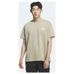 Funktionsshirt Adidas TERREX "XPLORIC GRAPHIC", Herren, Gr. S, wonder cargo, Obermaterial: 53% Baumwolle, 47% Polyester, Shirts Funktionsshirt