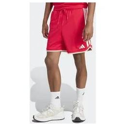 Shorts Adidas SPORTSWEAR "M STA SEAS SHO", Herren, Gr. S, N-Gr, pure ruby, crystal linen, sanftes wei&szlig;, normal, gr., Obermaterial: 100% Polyester, Hosen Shorts