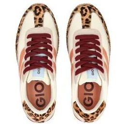 Sneaker Gioseppo "Gioseppo Sneaker Leder/Textil", Herren, Gr. 39, leopard, Leder, Textil, Schuhe Sneaker