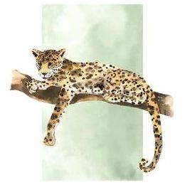 Bild Komar "Lazy Leopard", bunt (farbe bild(er): bunt), B:30cm H:40cm, Holz, Papier, Bilder, Bild, Wandbild zur Dekoration - ohne Rahmen