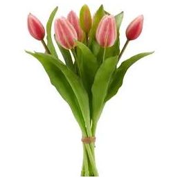 Kunsttulpe Creativ green "Tulpenbund", rosa, H:32cm, Kunststoff, Kunstpflanzen, aus 7 Einzelstielen