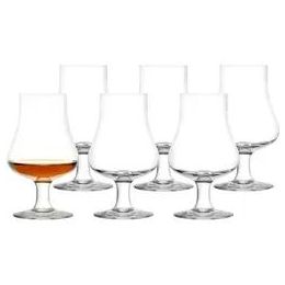 Whiskyglas ST&Ouml;LZLE "Whiskygl&auml;ser Nosing Glass 195 ml 6er Set transparent", bunt (transparent), Glas, Trinkgef&auml;&szlig;e, Whiskyglas