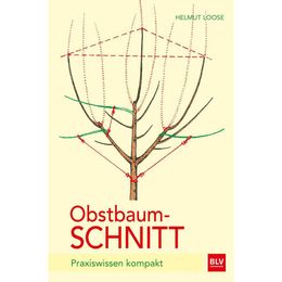 BLV Obstbaumschnitt