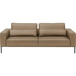 2,5-Sitzer Musterring "JustBPM100, 202 cm breit, aus hochwertigem Leder", macchiato, B:202cm H:88cm T:107cm, 100% Leder, Sofas, 2 5-Sitzer, wahlweise mit Nierenkissen und mot. Sitzauszug, Metallfu&szlig; in schwarz