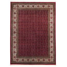 Orientteppich Theko "Sirsa Seta Bidjar", rot (rot, creme), B:250cm H:12mm L:350cm, Schurwolle, Seide, Teppiche, Orientteppich, handgekn&uuml;pft, Material: 80% Wolle, 20% Seide, mit Fransen