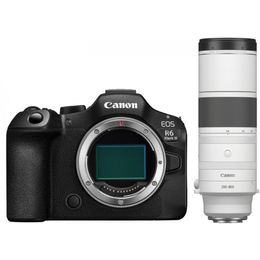 Canon EOS R6 III + RF 200-800mm f6,3-9,0 IS USM