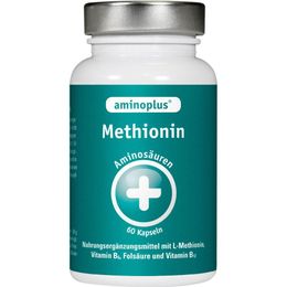Aminoplus Methionin plus Vitamin B Komplex Kapseln 60 St