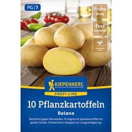 Kiepenkerl Kartoffel Grow-Set 'Belana' nur die Kartoffel 'Belana' Lieferform: Netzbeutel