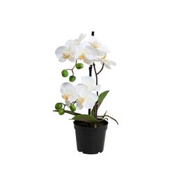Butlers Kunstpflanze FLORISTA Orchidee 4er-Set in Wei&szlig; | Gr.: onesize