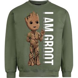 GUARDIANS OF THE GALAXY I Am Groot Sweatshirt gr&uuml;n in S IAG09843CNC