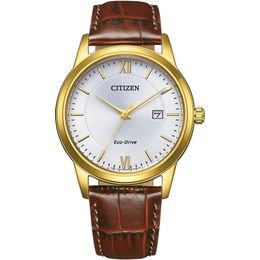 Solaruhr Citizen, braun (braun, wei&szlig;), Armbanduhren, Herren, Solaruhr, Armbanduhr, Herrenuhr, Lederarmband, analog, Tag