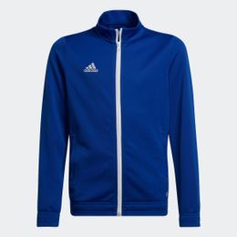 Trainingsjacke adidas Performance "ENT22 TK JKTY", Damen, Gr. 128, blau (royal blau), Obermaterial: 100% Polyester, bestickt, Jacken Trainingsjacke