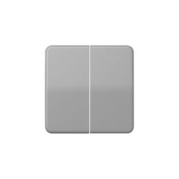 Jung Wippe gr f&uuml;r Taster CD 595 (CD595GR)