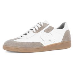 Sneaker Pius Gabor, Herren, Gr. 11,5 (46,5), wei&szlig; (wei&szlig;, beige), Nappaleder, Veloursleder, Schuhe Sneaker, Freizeitschuh, Schn&uuml;rschuh, Halbschuh mit Perforation, G-Weite