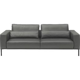 Musterring 3-Sitzer &raquo;JustB!PM100, 242 cm breit, aus hochwertigem Leder&laquo; XL-Sofa, wahlweise mit Nierenkissen und mot. Sitzauszug, Fu&szlig; schwarz 100% Leder