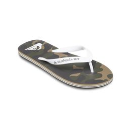 Quiksilver Herren Sandale &raquo;Molokai Art 25&laquo; beige 13(46)