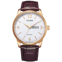 Citizen Damen Solaruhr Armbanduhr, Herrenuhr braun