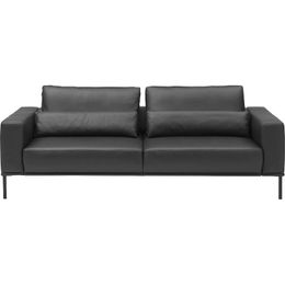 Musterring 3-Sitzer &raquo;JustB!PM100, 242 cm breit, aus hochwertigem Leder&laquo; XL-Sofa, wahlweise mit Nierenkissen und mot. Sitzauszug, Fu&szlig; schwarz 100% Leder