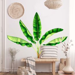 Wandtattoo Tropcial Aquarell Bananenpalme XXL Wandsticker Botanik Wandaufkleber Bl&auml;tter in XXL