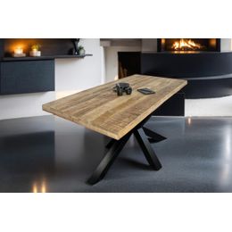 Esstisch 300x100cm Mangoholz gerade Kante Spider-Gestell schwarz RIO