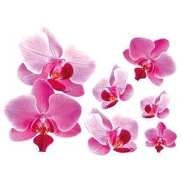 Wandtattoo Blumen Rosa Orchideen Orchidee Wandsticker Wandaufkleber in S-XXL