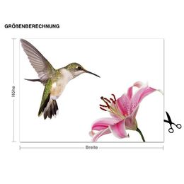 Wandtattoo Kolibri Wandsticker Tiere Wandaufkleber in S-XXL