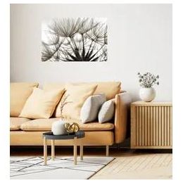 Wandsticker queence "Blume", beige, B:90cm H:60cm T:0,1cm, Folie, Wandtattoos, Selbstklebend, kinderleichte Anbringung
