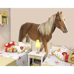 Wandtattoo Pony Pferd M&auml;dchen Wandsticker M&auml;dchenzimmer Wandaufkleber in S-XXL