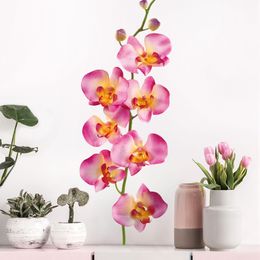 Wandtattoo Blumen No.177 Orchidee Rosa II Wandsticker florale Wandaufkleber in S-XXL