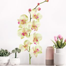 Wandtattoo Blumen No.190 Orchidee Wei&szlig; II Wandsticker florale Wandaufkleber in S-XXL