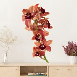 Wandtattoo Blumen No.180 Orchidee Rot II Wandsticker florale Wandaufkleber in S-XXL