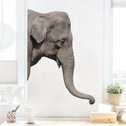 Wandtattoo Elefant No.3 Elefant Wandsticker Tiere Wandaufkleber in S-XXL