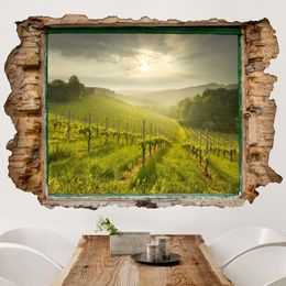 3D Wandtattoo Sonnenstrahlen Weinberg Wandsticker 3D-Optik Wandaufkleber in S-XXL 3D-Effekt