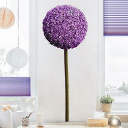 Bilderwelten Wandtattoo Blumen modern selbstklebend Wandaufkleber - Allium Kugel-Bl&uuml;ten 1er Set - Wandsticker Wohnzimmer Schlafzimmer