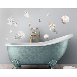 Bilderwelten Wandtattoo Strand modern selbstklebend Wandaufkleber - No.BP24 Exotische Muscheln - Landschaft Wohnzimmer Schlafzimmer