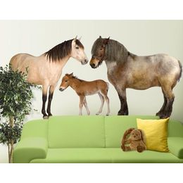 Wandtattoo Kinderzimmer M&auml;dchen Pferde The Horse Family Wandsticker M&auml;dchenzimmer Kinder Wandaufkleber in S-XXL