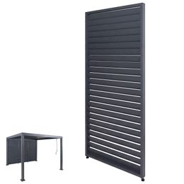 Lamellenwand f&uuml;r Pergola MCW-P65, Lamellenpaneel Modul Paneel Seitenwand, Aluminium 220x90cm ~ anthrazit