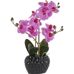 Kunstpflanze OTTO HOME "Orchidee, inklusive &Uuml;bertopf aus Keramik in schwarz oder silberfarben", lila (lila, schwarz), B:13cm H:38cm T:6,5cm, Keramik, Kunststoff, Polyester, Kunstpflanzen, Kunstpflanze, Kunstorchidee, BESTSELLER, 38 oder 55cm hoch
