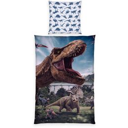Bettw&auml;sche Jurassic World "Jurassic World", bunt, B/L: 135cm x 200cm, 1 Stk., 1 Stk., Renforc&eacute;, B/L: 80cm x 80cm, 2 Stk., Renforc&eacute;, Obermaterial: 100% Baumwolle, Bettw&auml;sche, Bettw&auml;sche, Wendebettw&auml;sche