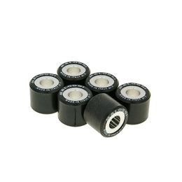 Variomatikgewichte Malossi HT 20x17mm - 9,0g