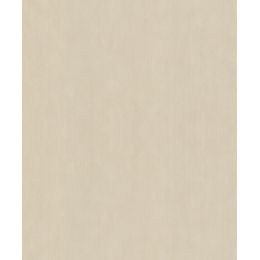 rasch Vliestapete "Concrete", B/L: 53m x 10,05m, Rollen: 1, beige, modern, Tapeten