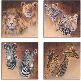 Leinwandbild Artland, B:30cm H:30cm, braun, Leinwand, MDF, Wohnzimmer, Bilder, "L&ouml;wen Leoparden Zebra Giraffen", 4er Set, verschiedene Gr&ouml;&szlig;en