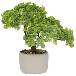 Kunstbonsai Creativ green, B:26cm H:24cm T:20cm, gr&uuml;n, Kunststoff, Kunstpflanzen, "Bonsai Sedum multiceps", mit modernem Pflanzgef&auml;&szlig;