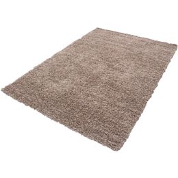 Hochflor-Teppich, B:200cm H:30mm L:290cm, braun, Ayyildiz Teppiche, Kunstfaser, Teppiche, "Life Shaggy 1500 , auch als L&auml;ufer und in Rund
