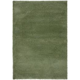 Hochflor-Teppich FLAIR RUGS, B:200cm H:40mm L:290cm, gr&uuml;n, Kunstfaser, Teppiche, "Feather"