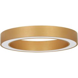 NOVA LUCE LED-H&auml;ngeleuchte "MORBIDO", 1, &Oslash; 60cm, 1 Stk., gold, Leuchten