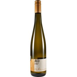 Weingut Acker - Martinushof Riesling 2025 Lieblich Rheinhessen &ndash; Wei&szlig;wein Qualit&auml;tswein