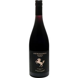 Weingut der Stadt Stuttgart Barrique Sp&auml;tburgunder 2021 Trocken - Stuttgarter M&ouml;nchhalde W&uuml;rttemberg &ndash; Rotwein Qualit&auml;tswein