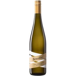 Weingut Benedikt Wolfgang DAC Ried Gr&uuml;ner Veltliner 2024 Trocken - Goldberg Wagram &ndash; Wei&szlig;wein Qualit&auml;tswein